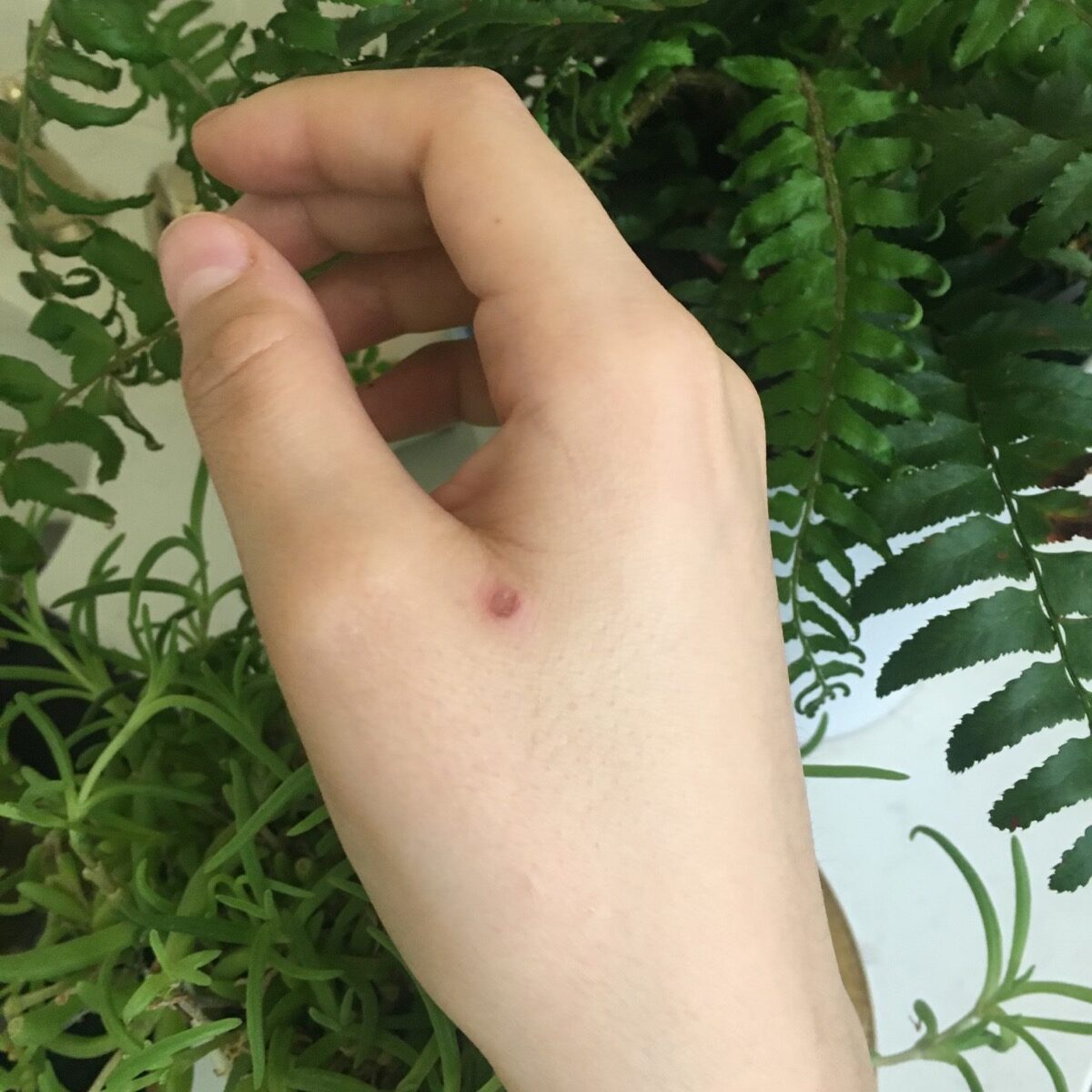 An Unkept Promise | Almine & Original Ones